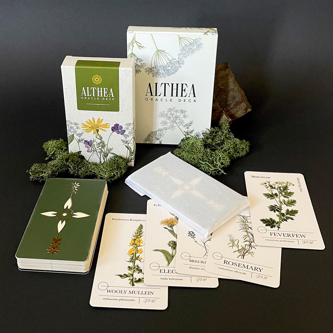 Tarot & Cards – Haus Nostromo