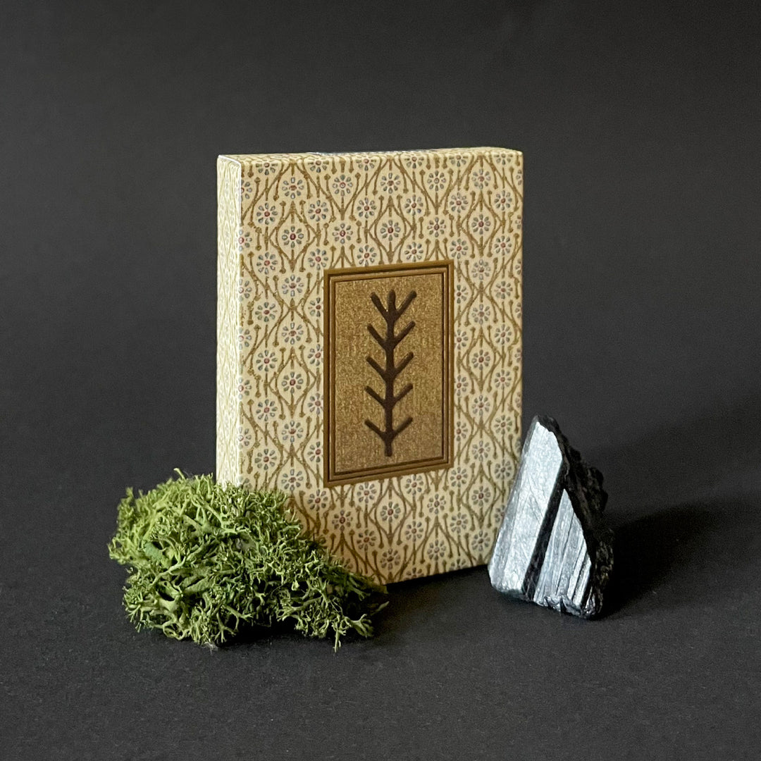 Tarot & Cards – Haus Nostromo